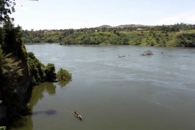 Varend op safari en gorilla’s ontmoeten in Uganda - Lianne reist